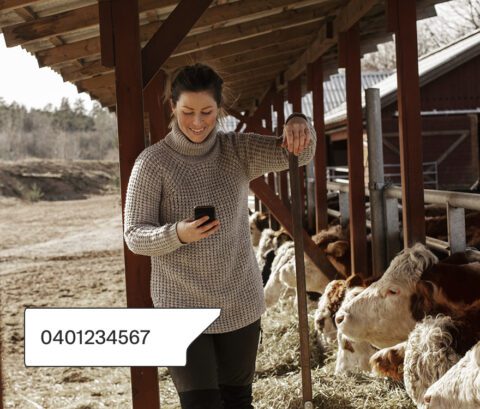 Whose number? | Quick name search by SMS | 020202